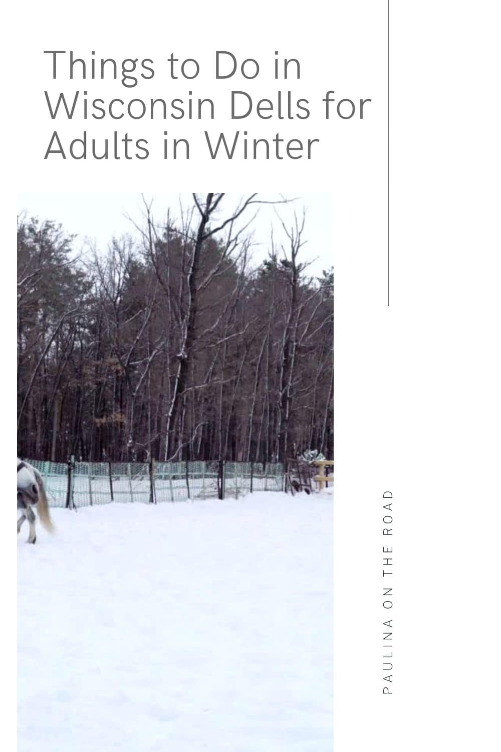 12 Things to do in Wisconsin Dells for Adults in Winter - Paulina on ...