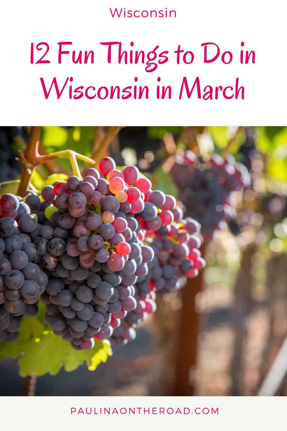 12 Fun Things to Do in Wisconsin in March - Paulina on the road